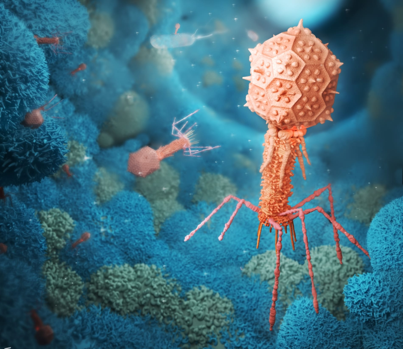 The Phage | Find the latest news and information about bacteria-killing ...