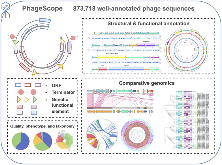 PhageScope: A new web-based tool for decoding phage genomes