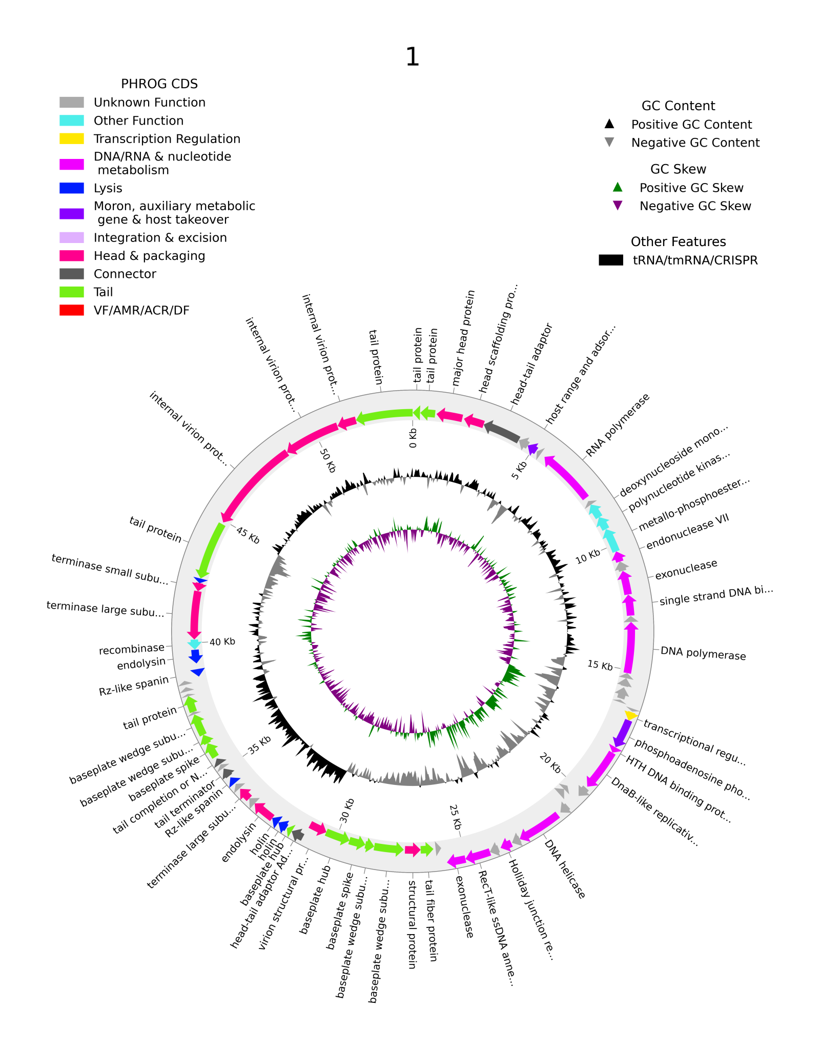 Assembling Phage Genomes: De Novo vs Reference-Based Methods